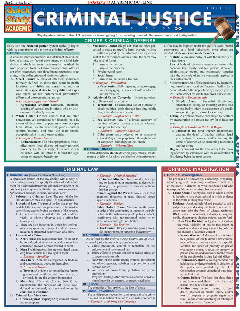 CRIMINAL JUSTICE LAMINATED REFERENCE GUIDE (QUICKSTUDY: ACADEMIC ...